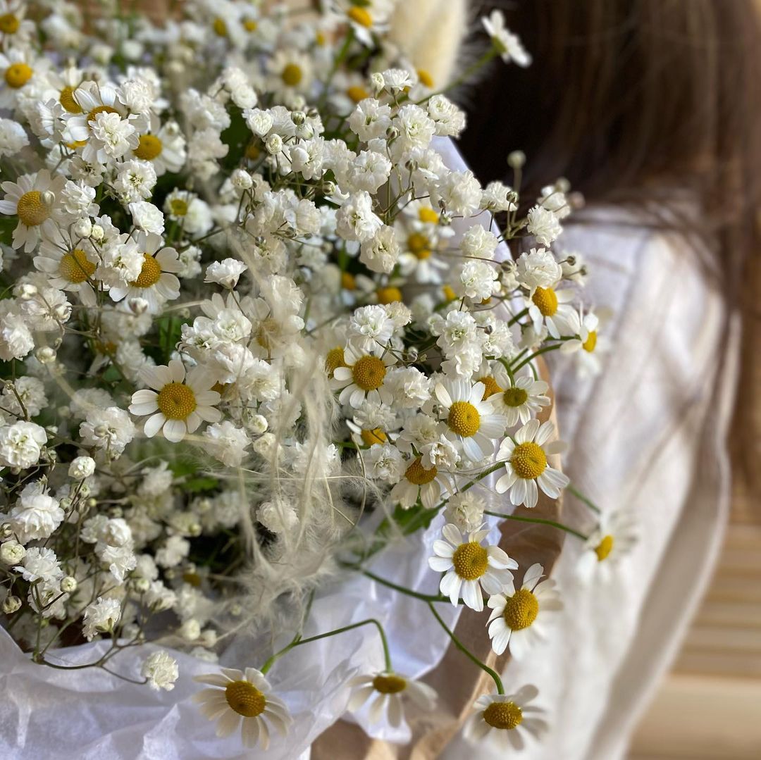 Buchet din Musetel si Gypsophila in Hartie Craft | OkFlora