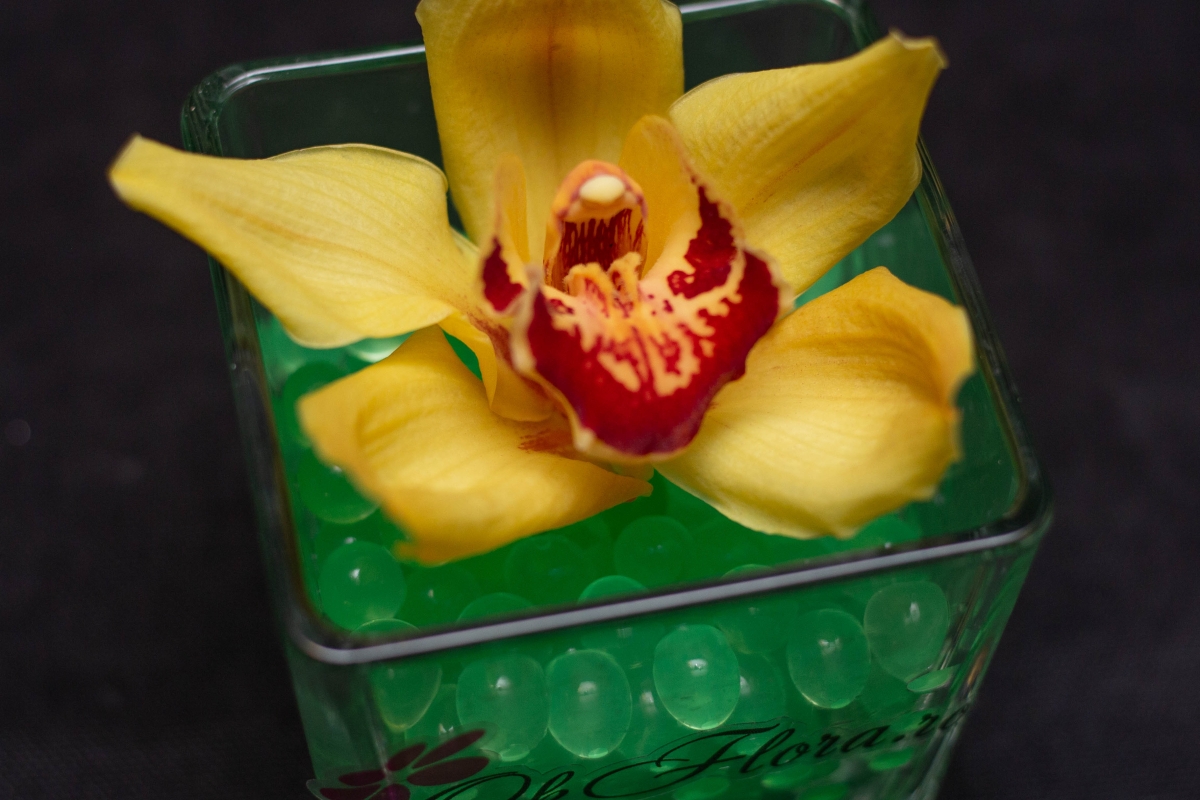 Orhidee galbena in vas de sticla cu bile de hidrogel